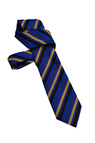 Secondary School Ties - High School Ties | Keltic Ties
