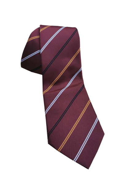 Primary School Ties For Infants and Juniors